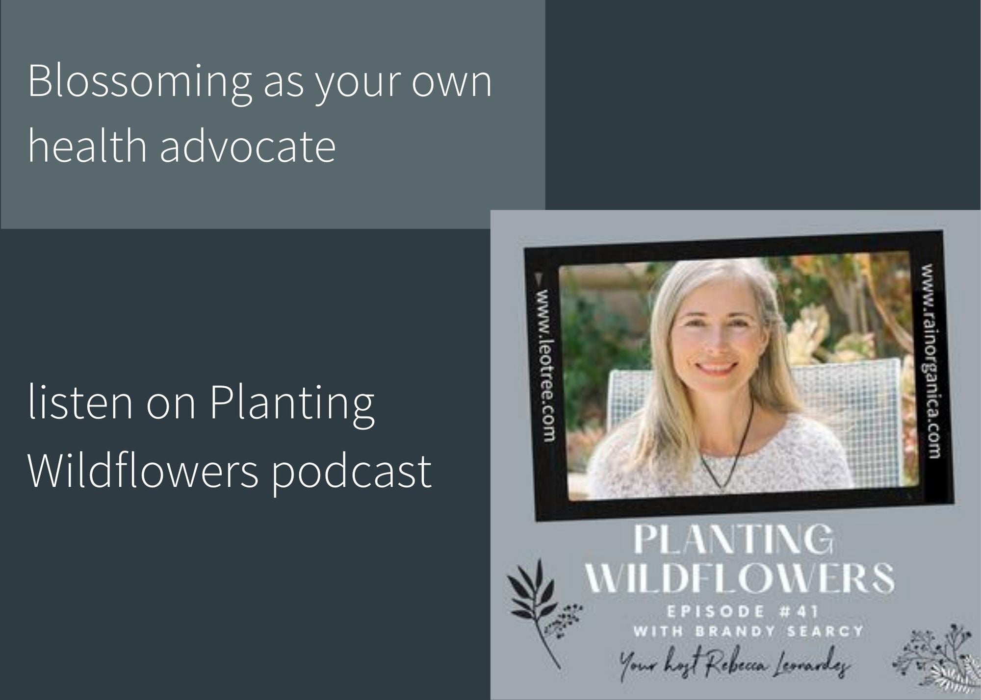 Planting Wildflowers: blossoming as your own health advocate – Rain ...